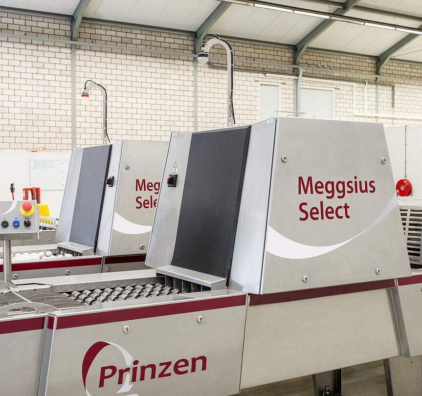 AI-assisted egg inspection.